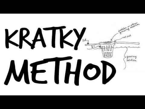 What is the Kratky Method of Hydroponics? – My Indoor Grow Systems